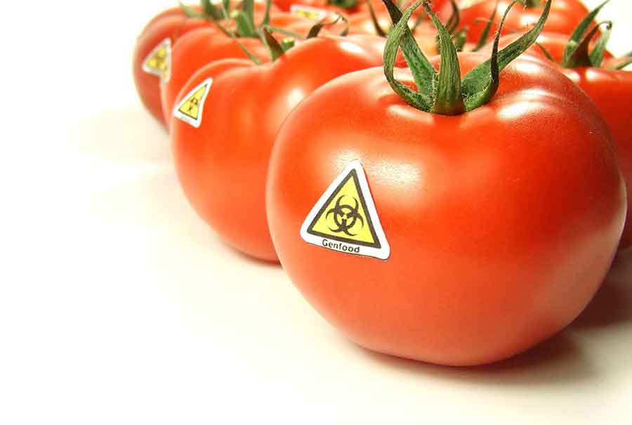 GMOs: Genetically Modified Organisms - Nutriopath - Safety, Side Effects